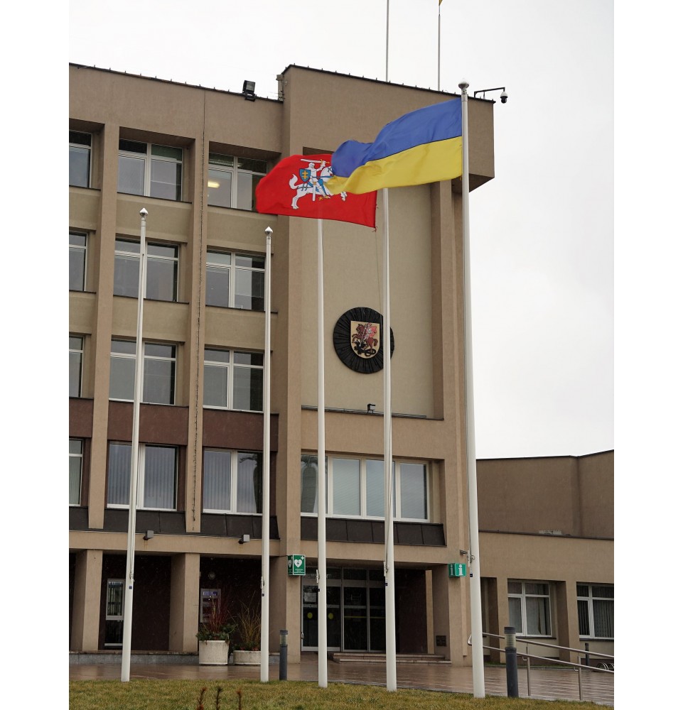 Ukrainos vėliava