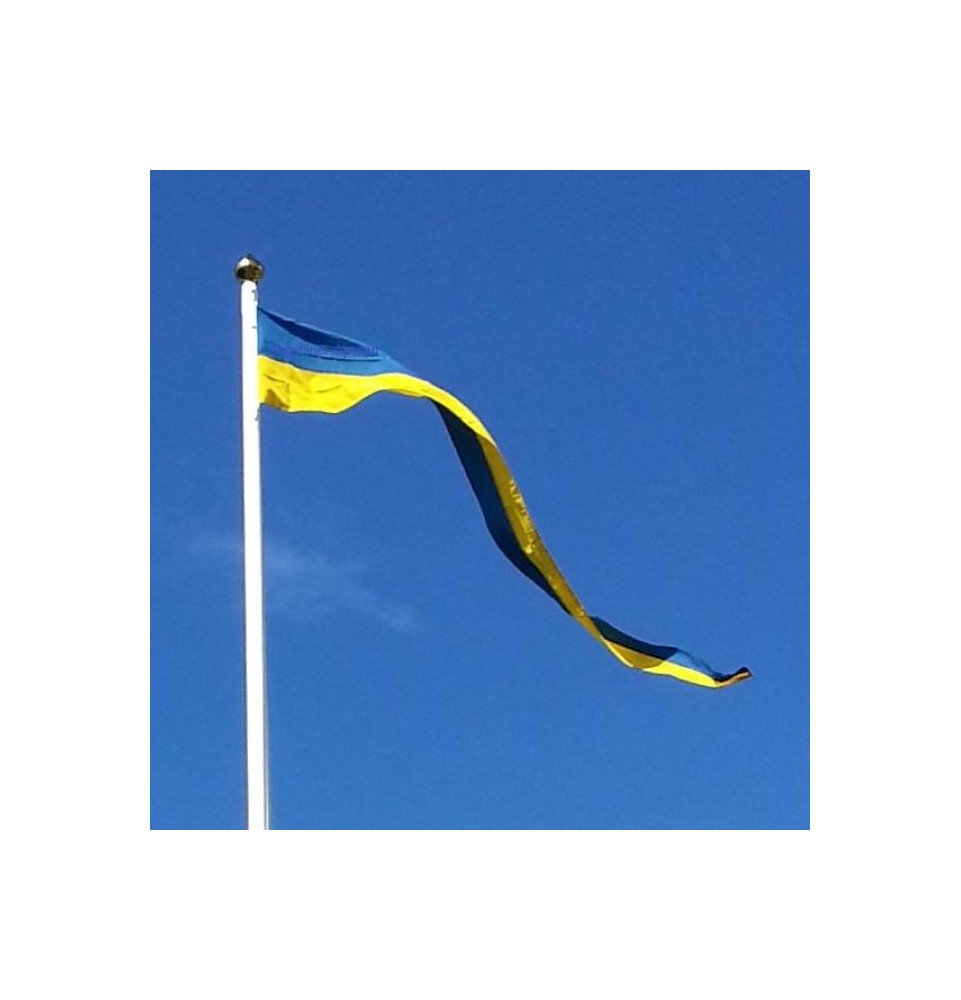 UKRAINOS vėliavos